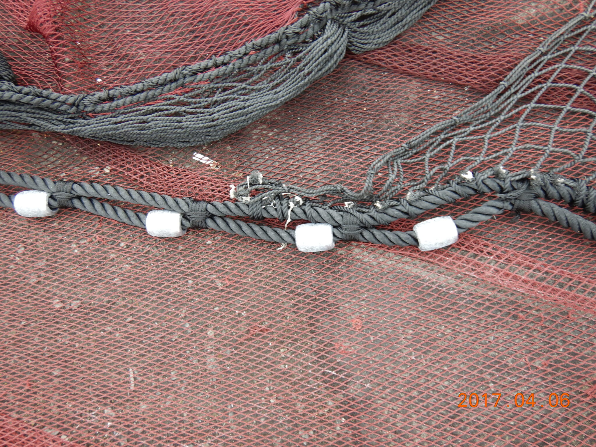 【入門者必読】漁業で用いられる「単位」を解説！現場でつかえる基礎を学ぼう - 海ペディア